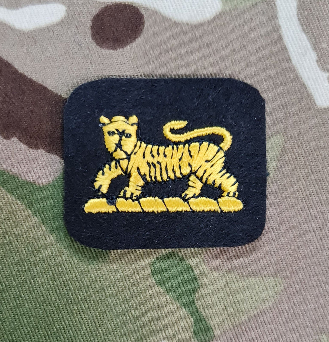 No2 Dress Princess of Wales's Royal Regiment PWRR Tiger Badge – Badge ...