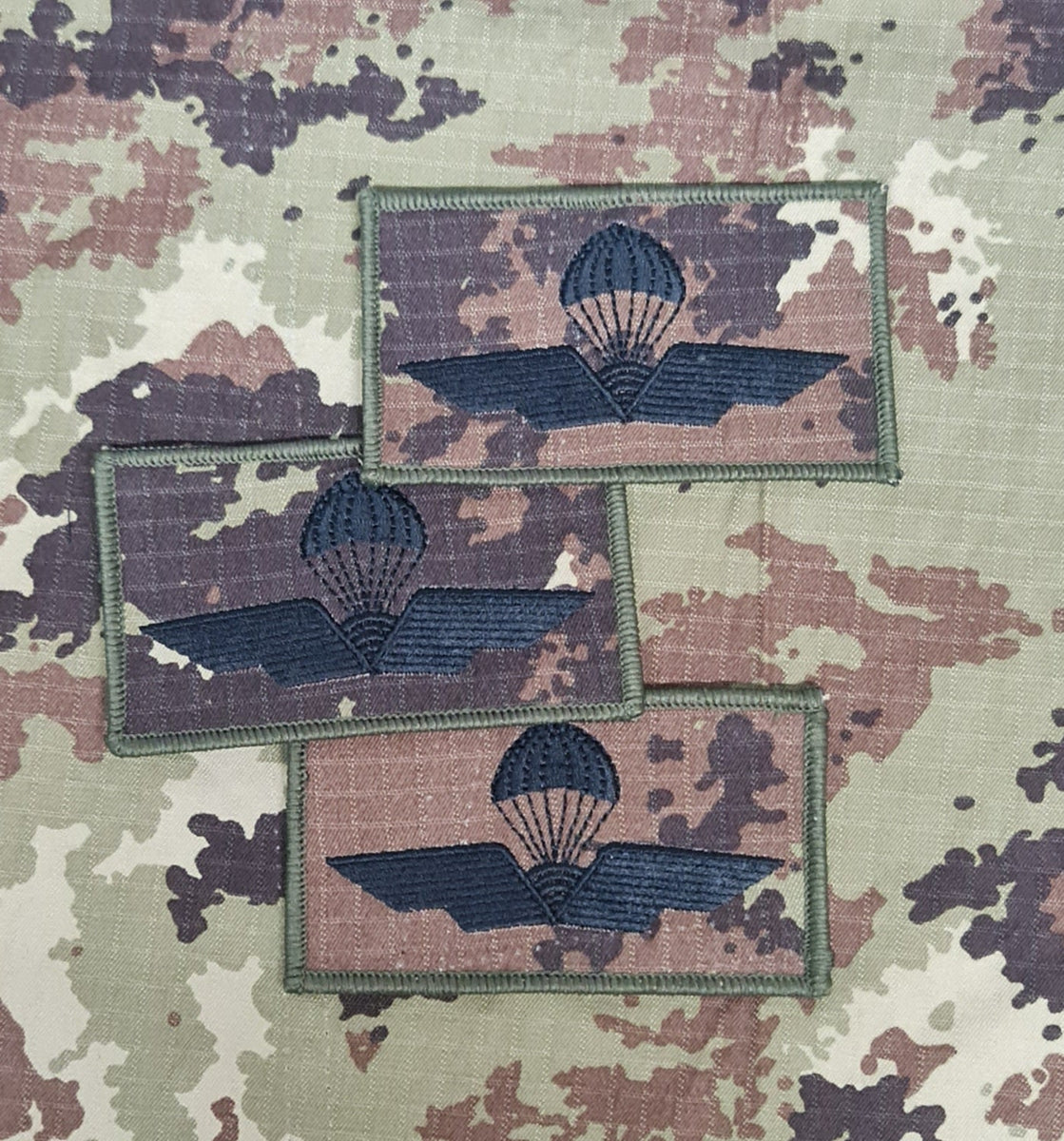 Italian / Italy Airborne Parachutist Qualification Wings (variation ...