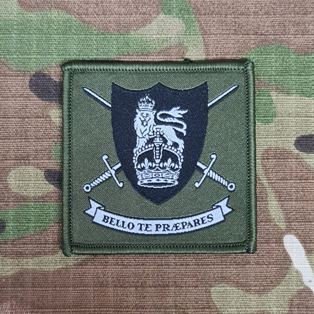 Army Training Regiment Badge ATR Brigade Badge / TRF - CR3 – Badge Workshop