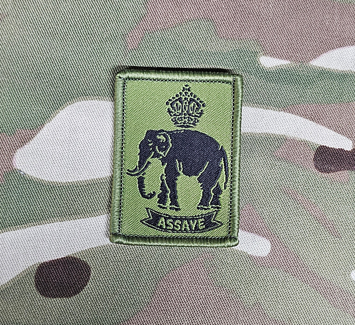 10 (Assaye) Battery - Royal Artillery (RA BTY) Woven Badge Patch ...