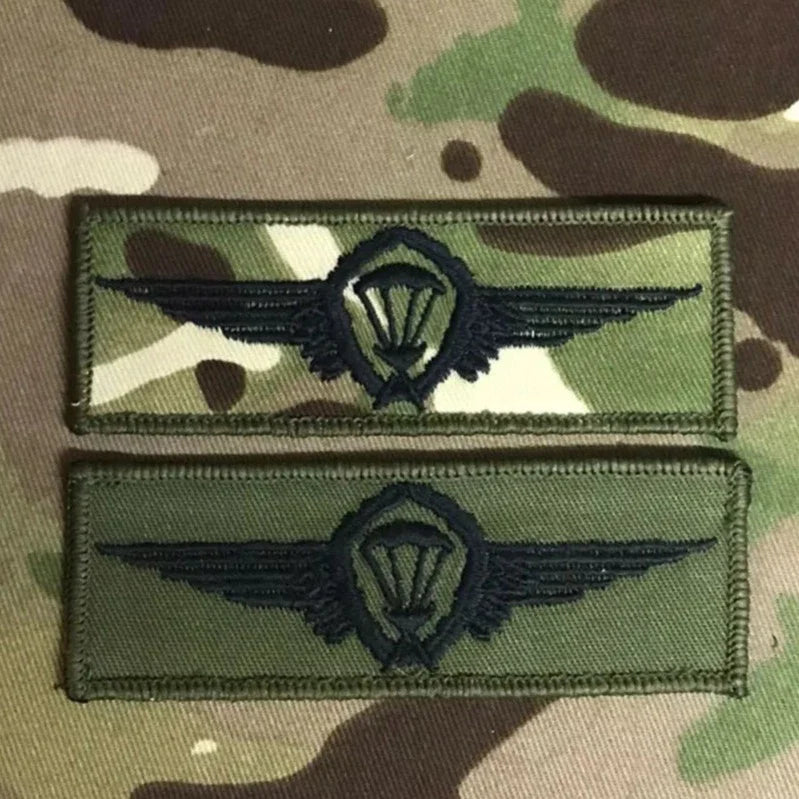 German Fallshirmjager Airborne Parachutist qualification Wings - all g ...