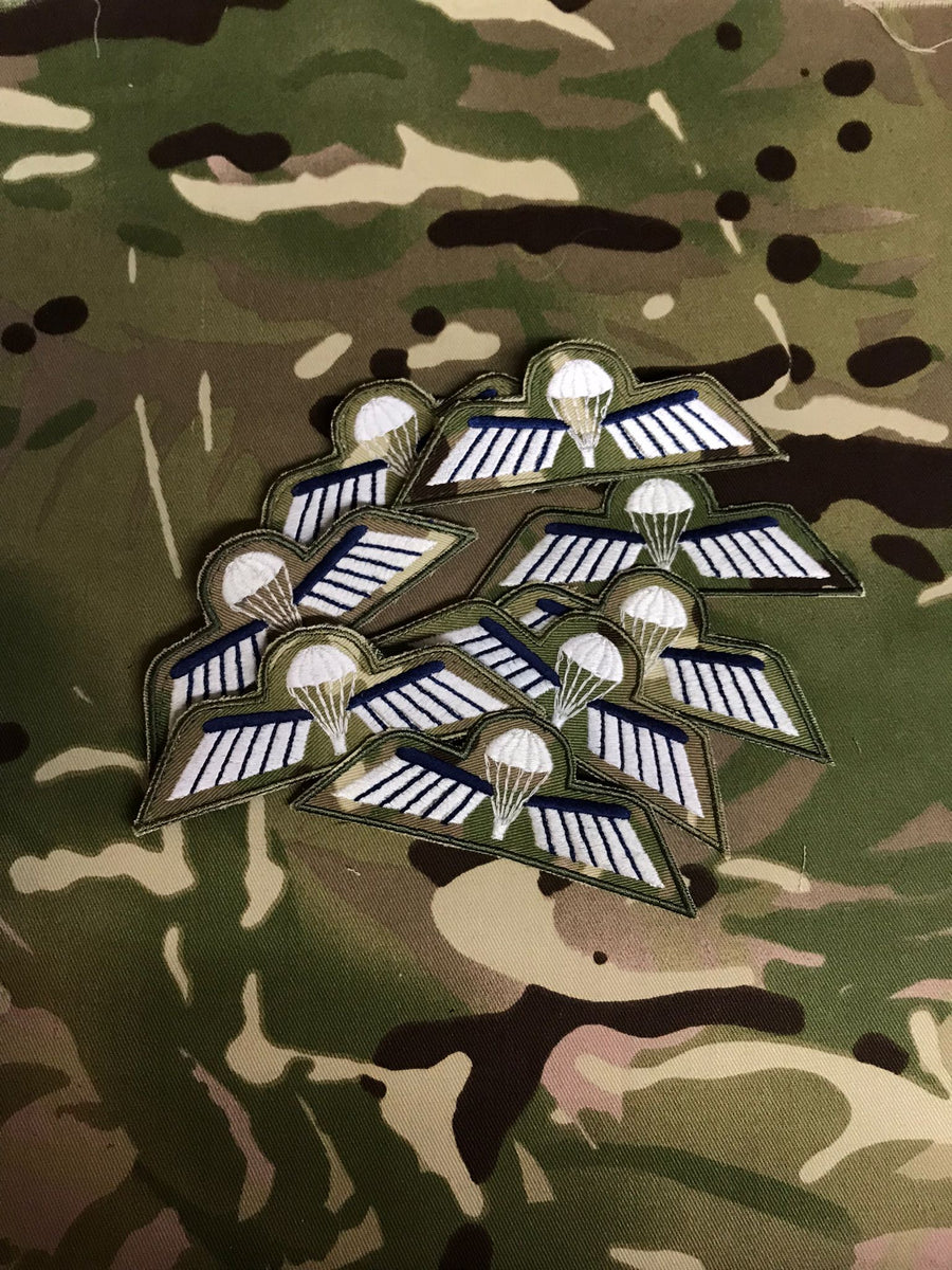 Netherlands / Dutch Airborne Parachutist Qualification Wings - Basic ...