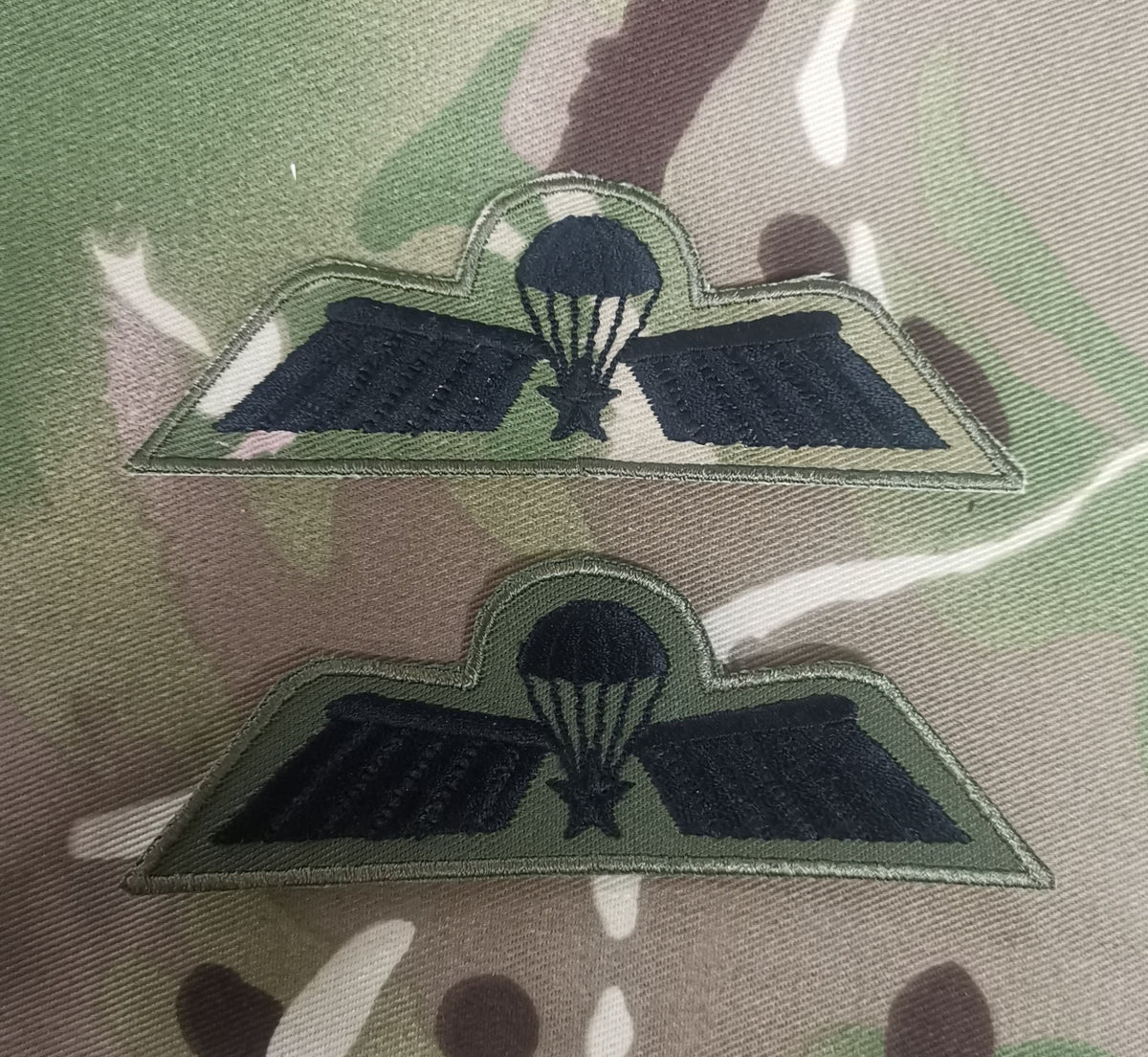 Netherlands / Dutch Airborne Parachutist Qualification Wings - Advance ...