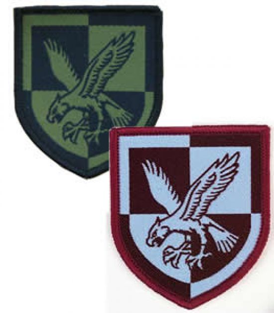 Old 16 Air Assault Brigade Badge – Badge Workshop